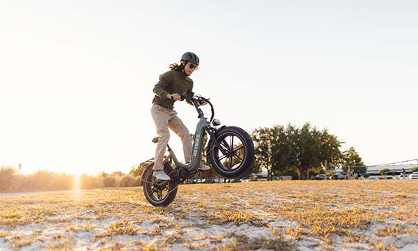 How To Reset The Electric Bike Controller? Step by Step Guide – Heybike CA